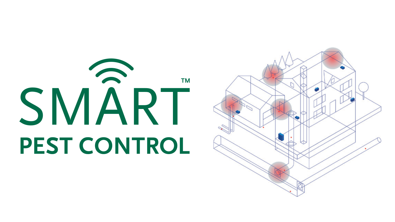 Happy 🦃 Thanksgiving: How to Keep Bugs & Rodents 🐭 Away From Your Food