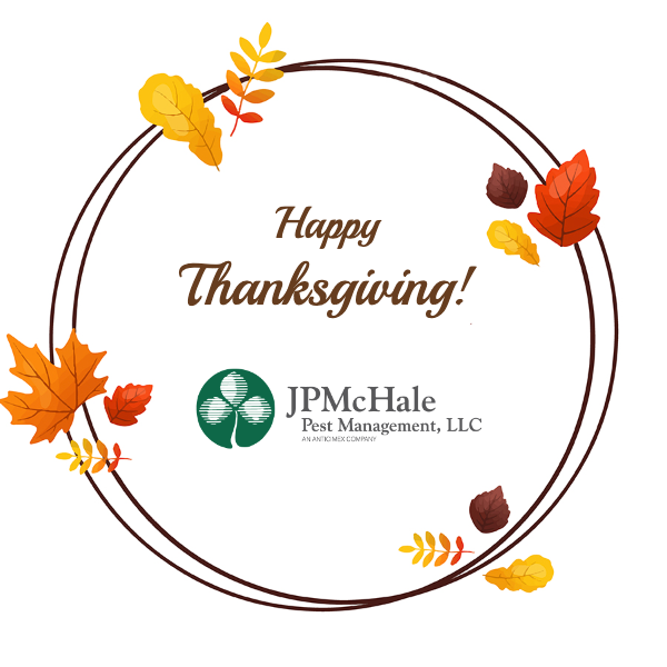 Happy 🦃 Thanksgiving: How to Keep Bugs & Rodents 🐭 Away From Your Food